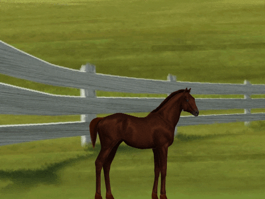 This Ridiculously Realistic "Horse Simulator" on Kickstarter Has Been ...