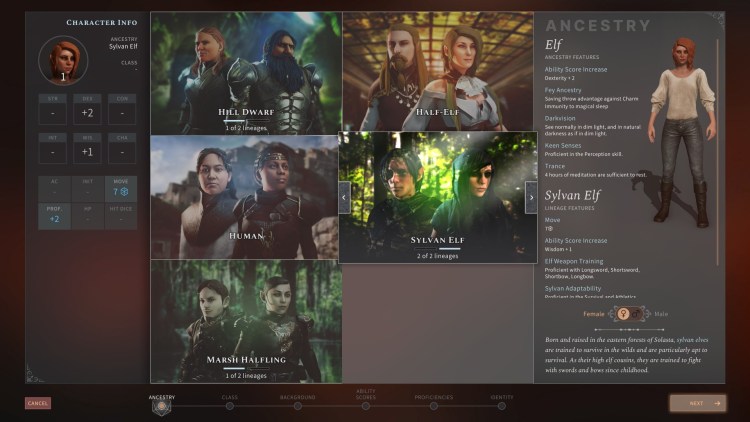 Solasta: Crown of the Magister -- Character creation guide
