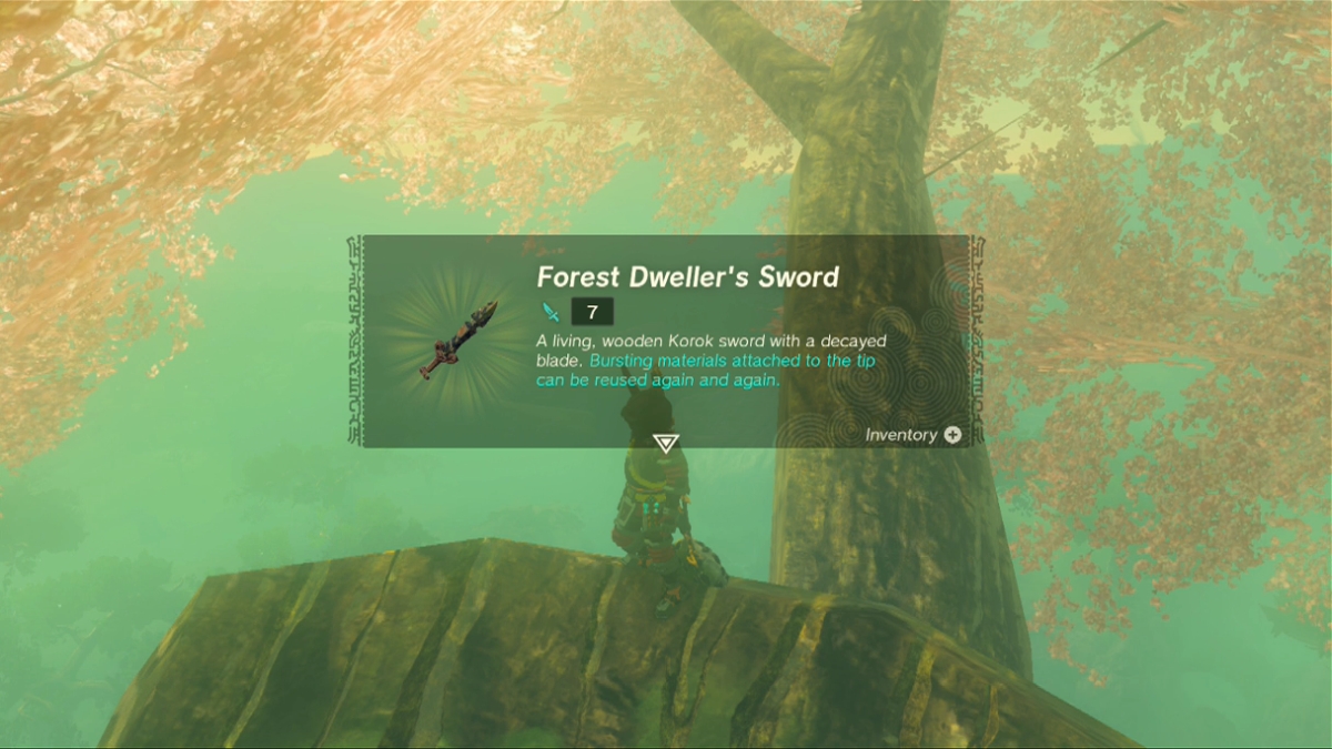How to get Forest Dweller Sword in Tears of the Kingdom (TotK)