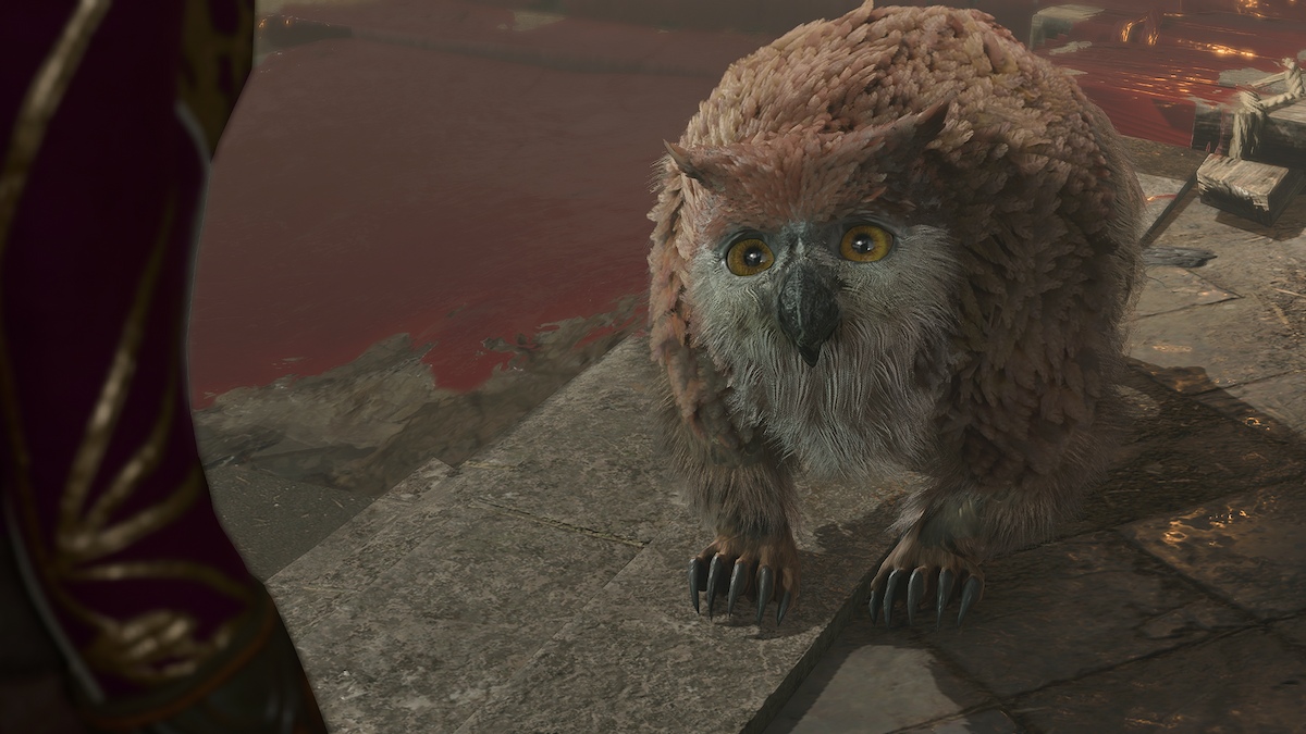 Baldur's Gate 3 (BG3): How to get the owlbear cub and Scratch the dog