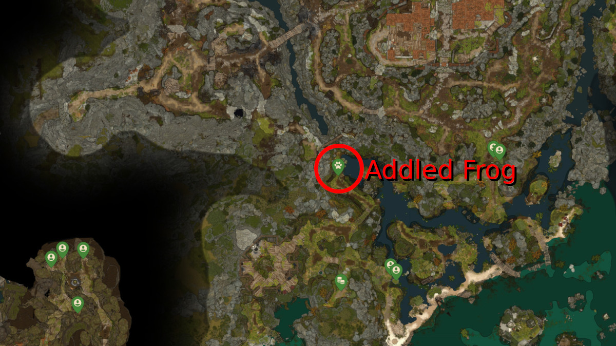 What is the Addled Frog in Baldurs Gate 3 (BG3)