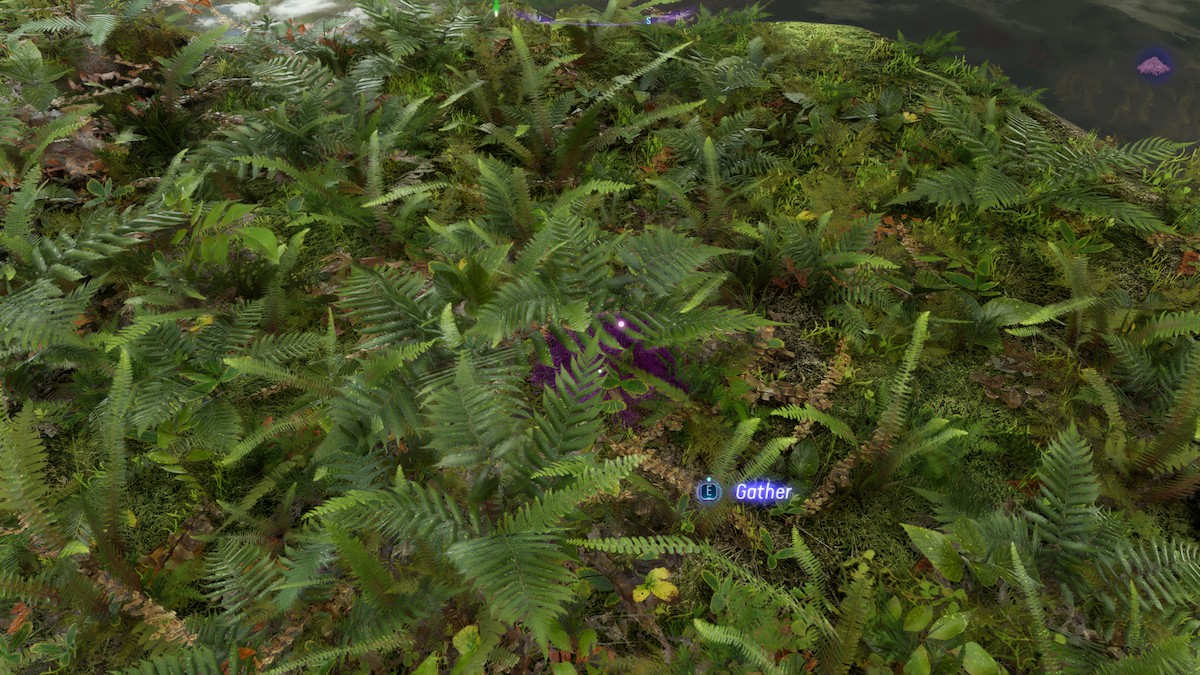 Where to find moss in Avatar Frontiers of Pandora